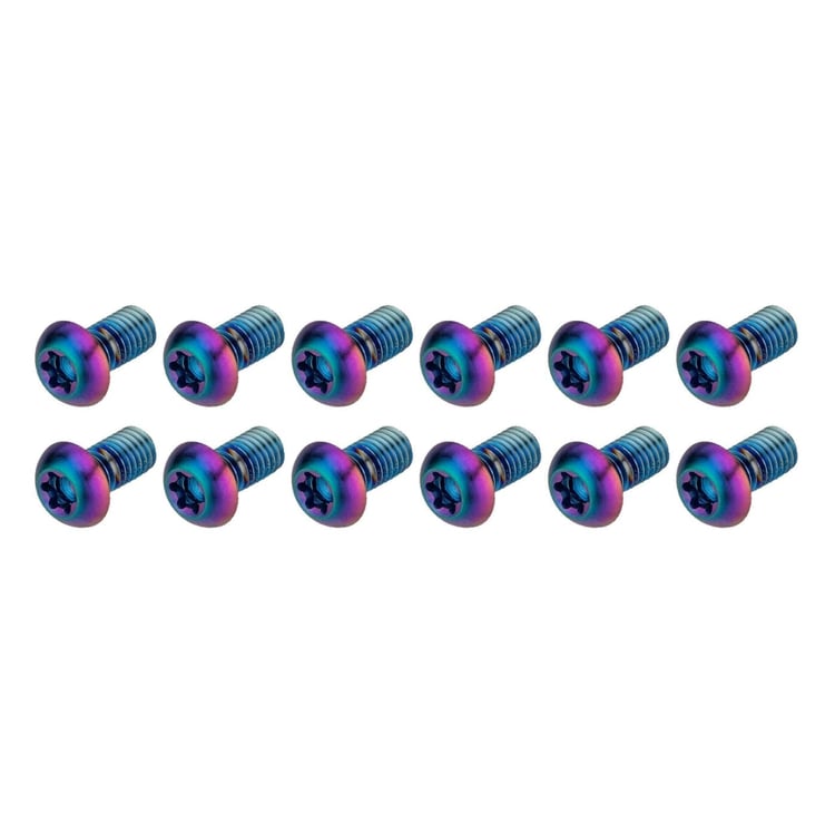 Suruburi Disc Titanium Rainbow Sram 12 pcs - PlayBike.ro